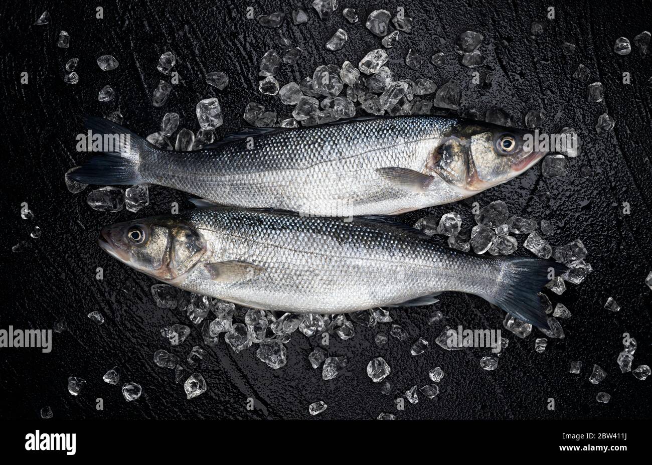 Black bass fish hi-res stock photography and images - Alamy