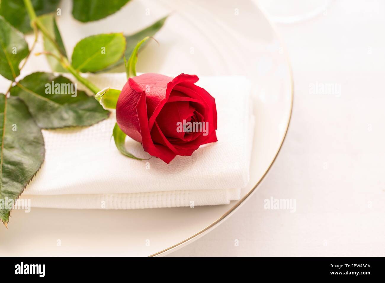 Close up of red rose on white porcelain plate for celebration special ...