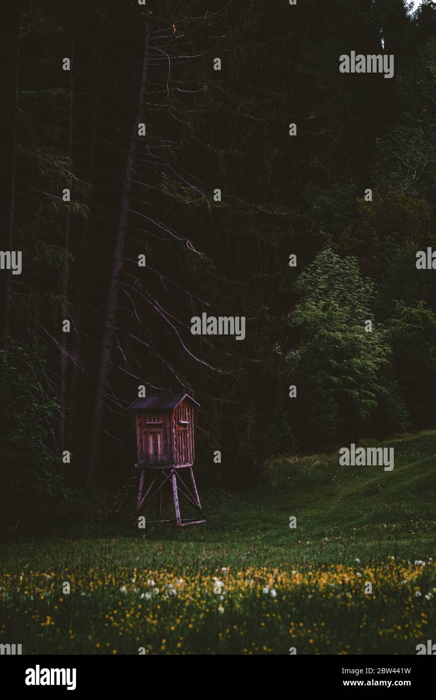 spring meadow with a deer-stand Stock Photo - Alamy