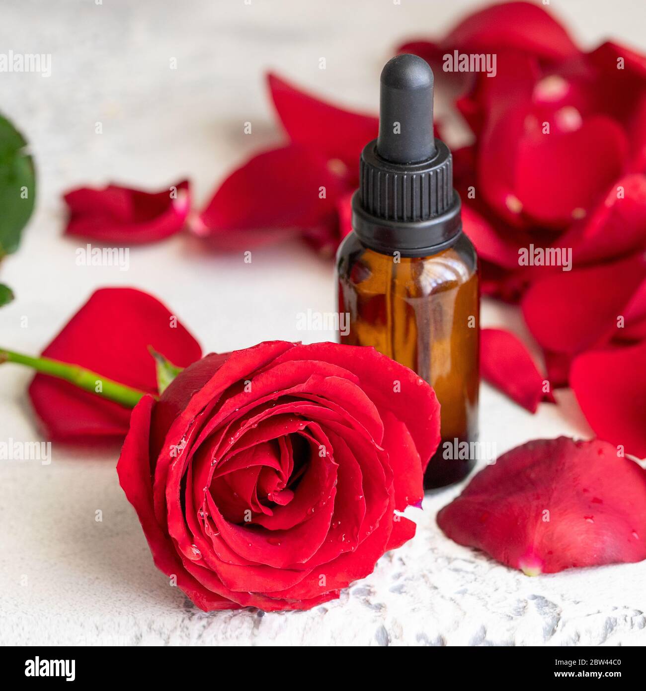 Essential rose oil in glass bottle and fresh rose flower on light ...
