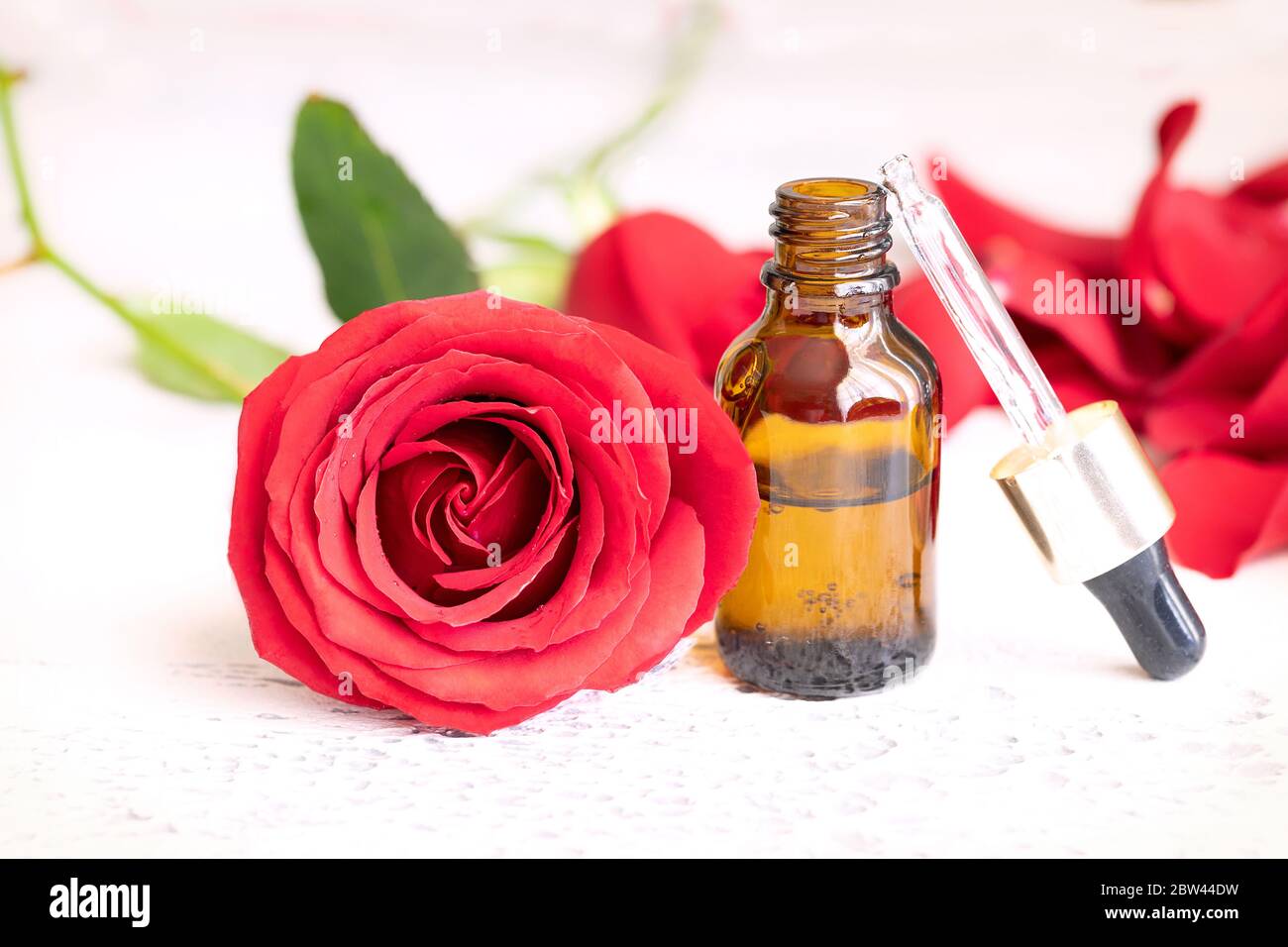 Essential rose oil in glass bottle and fresh rose flower on light ...