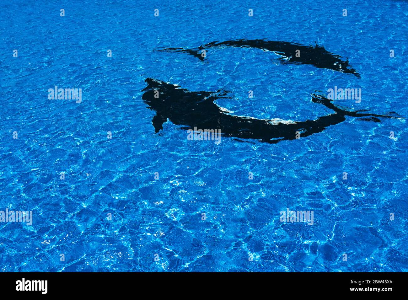 Swimming pool, blue clear water in the outdoor pool, with sun flare on ...