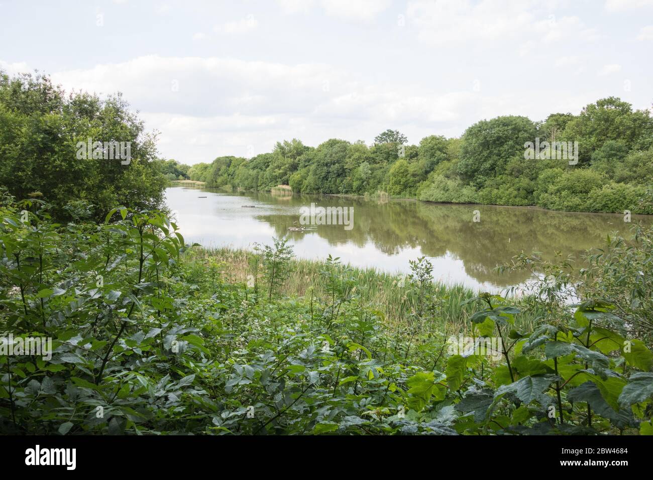 Leg O' Mutton Reservoir, Barnes, London, SW13, UK Stock Photo - Alamy