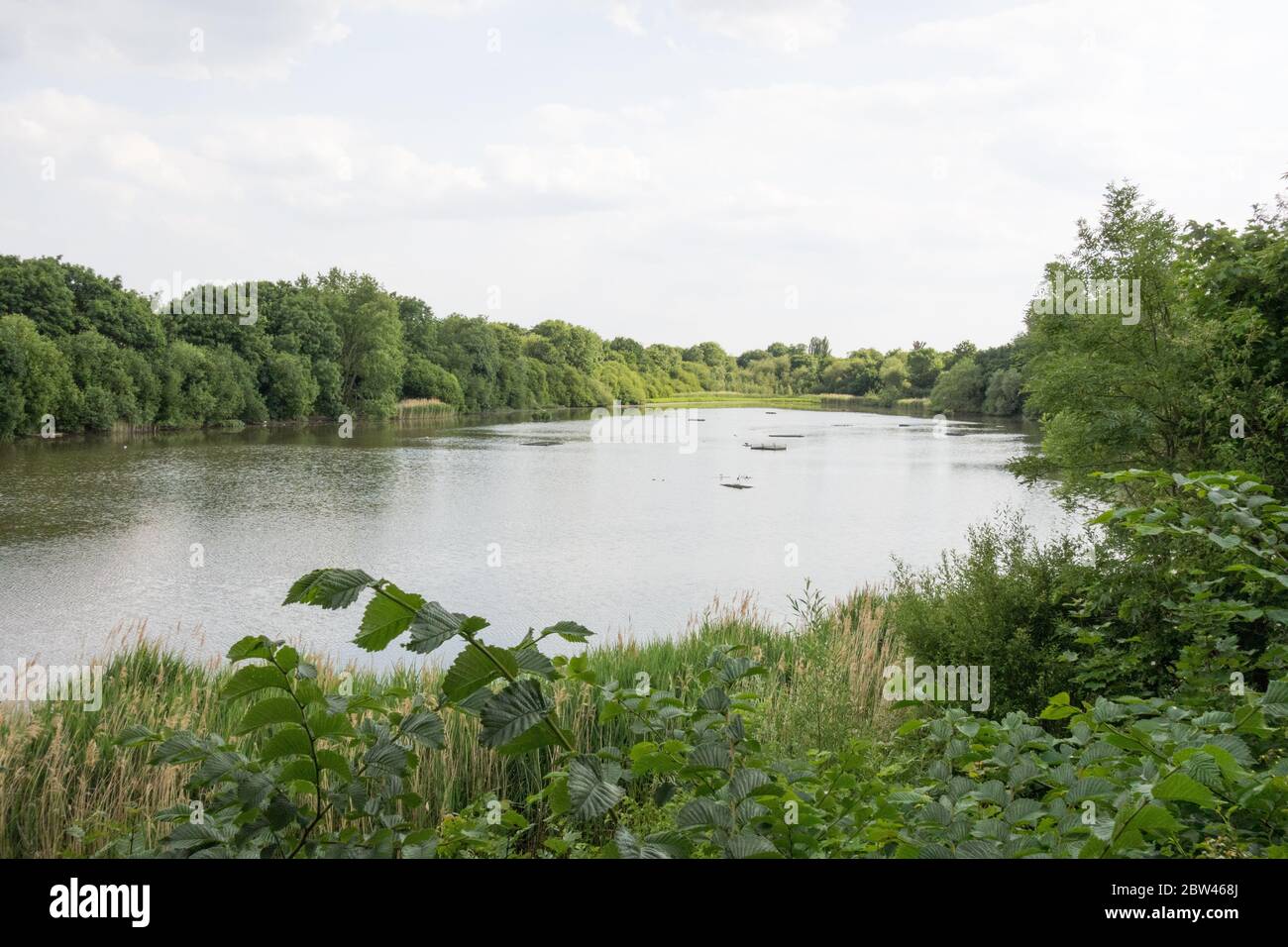Leg O' Mutton Reservoir, Barnes, London, SW13, UK Stock Photo - Alamy
