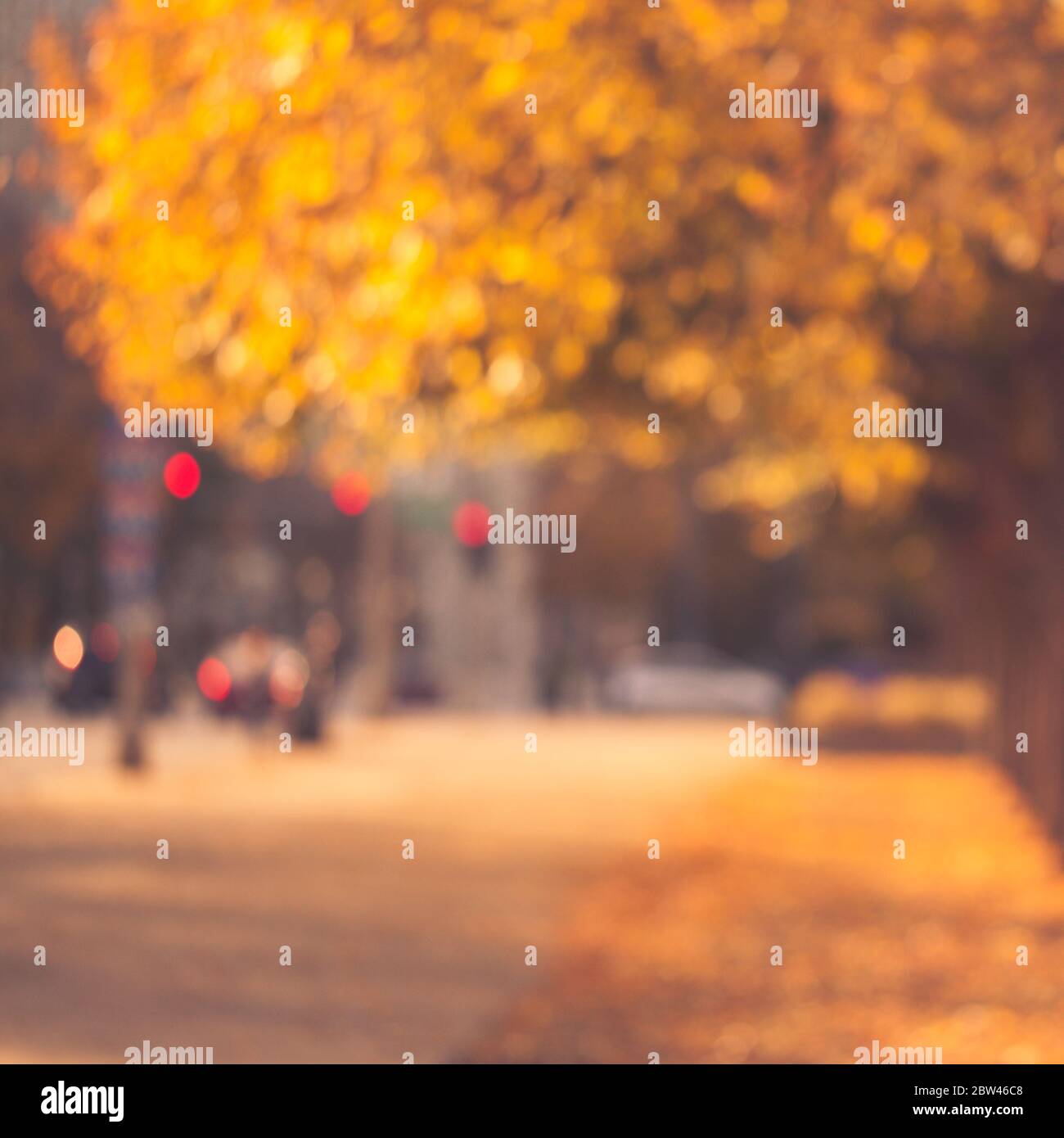 Bokeh Out of Focus City Lights Scene During Fall in Chicago Stock Photo ...