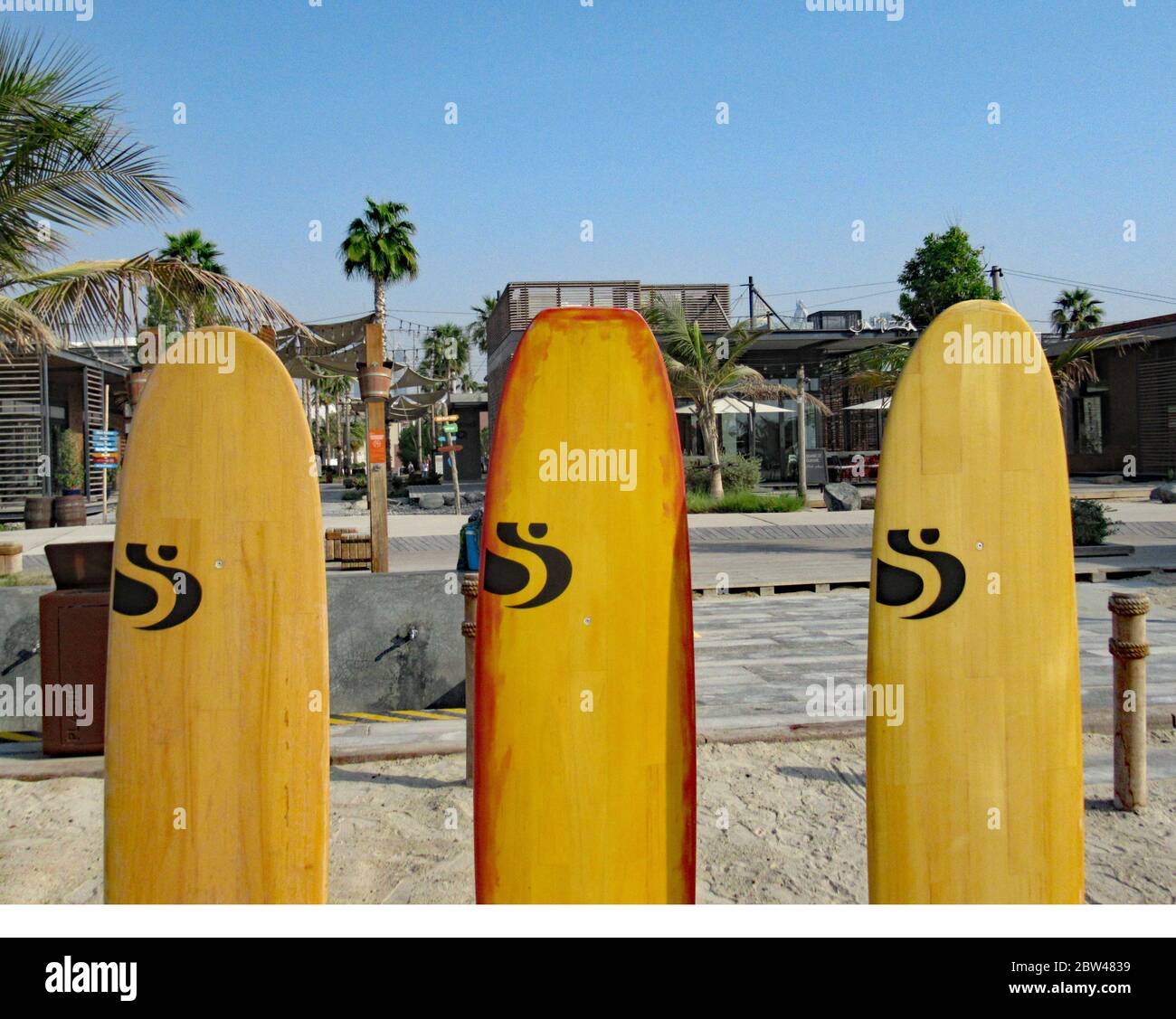 Three surfboards on the beach in the sun in Dubai Stock Photo - Alamy