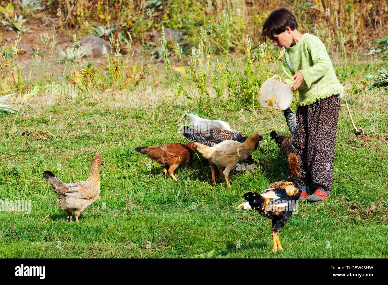 Füttern hi-res stock photography and images - Alamy