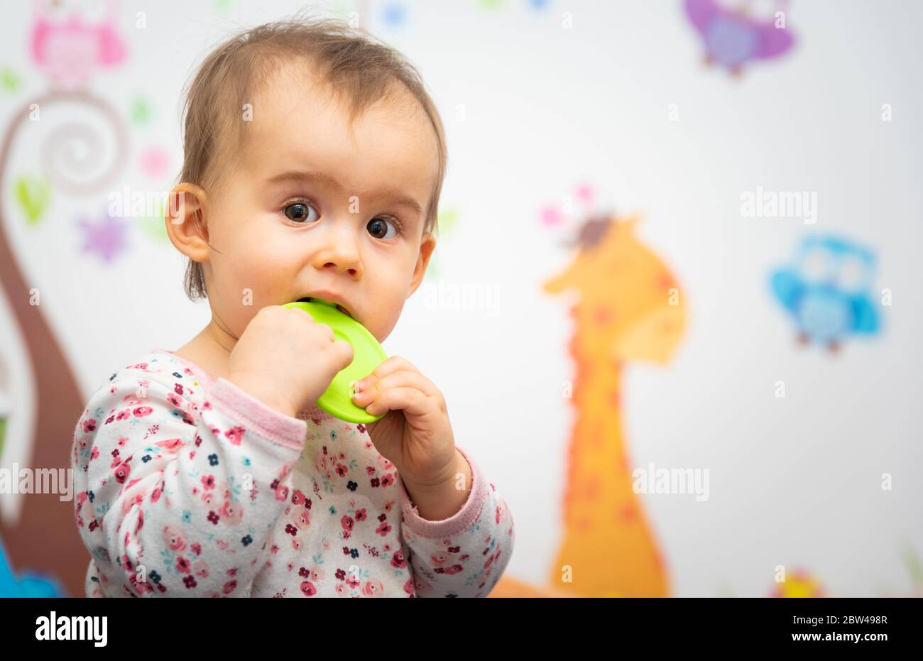 Child bite toy hi-res stock photography and images - Alamy