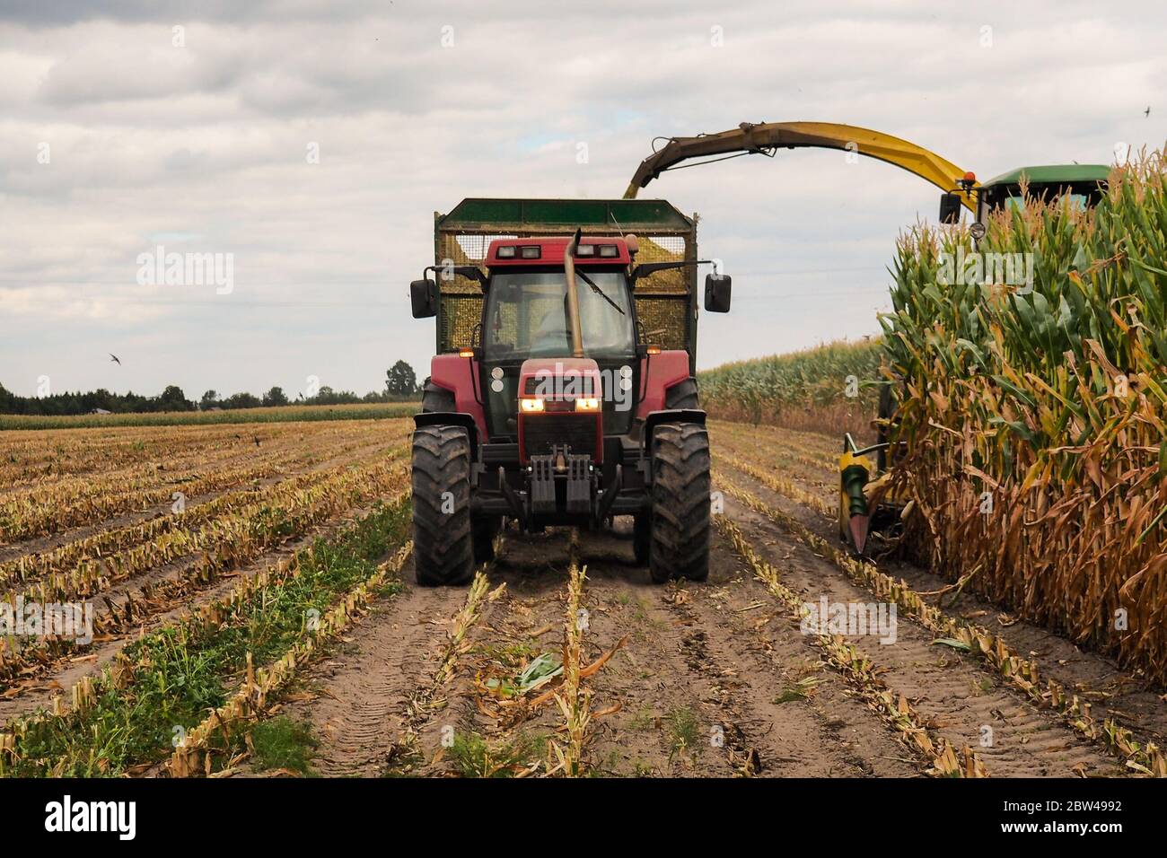 Team corn hi-res stock photography and images - Alamy