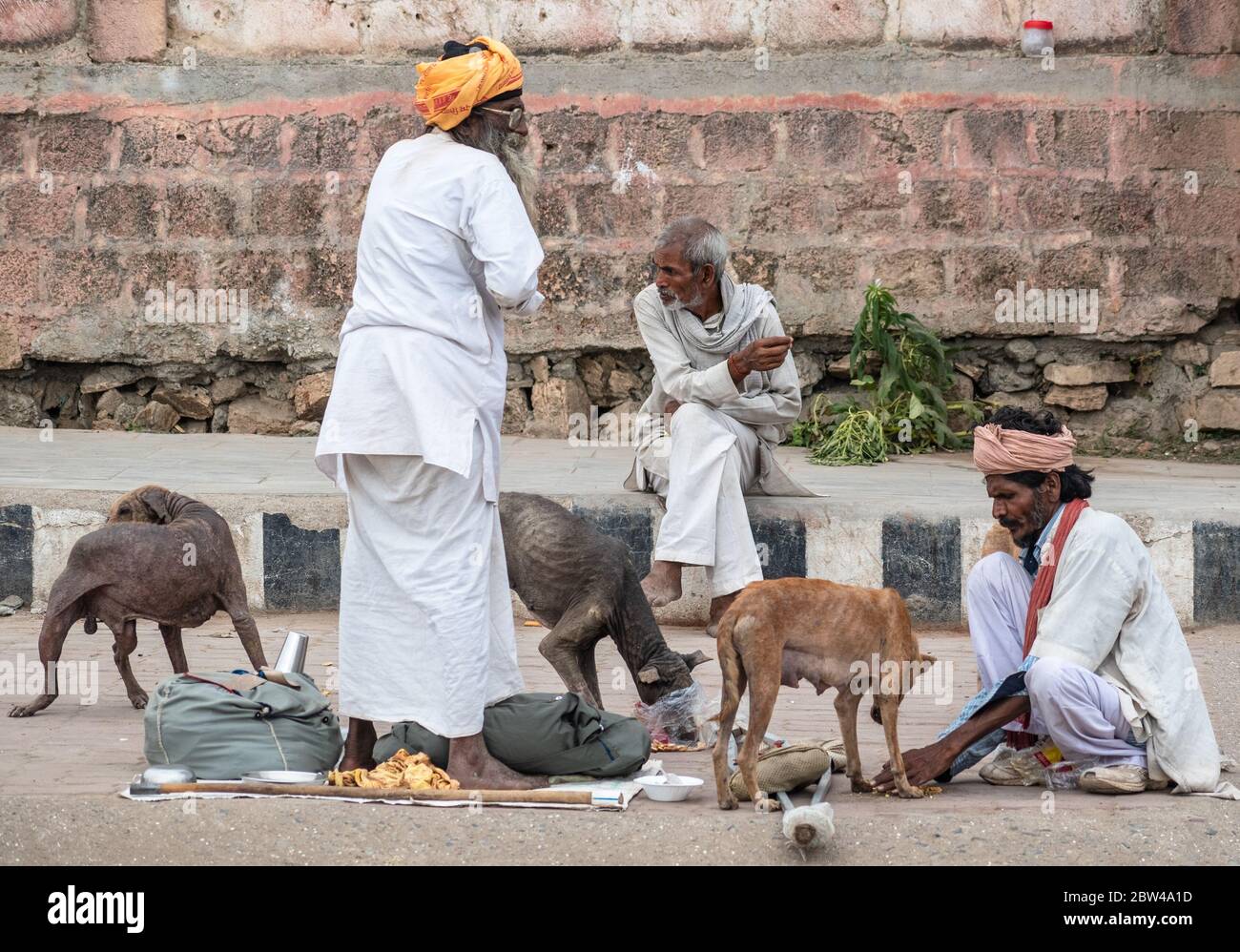 Indian stray dogs hi-res stock photography and images - Alamy