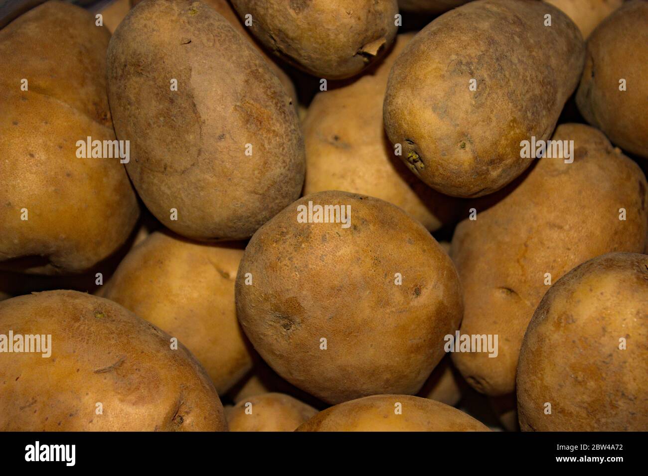 A picture of potato Stock Photo - Alamy