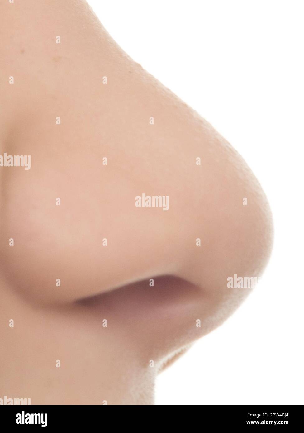 Baby nose isolated on white background Stock Photo - Alamy