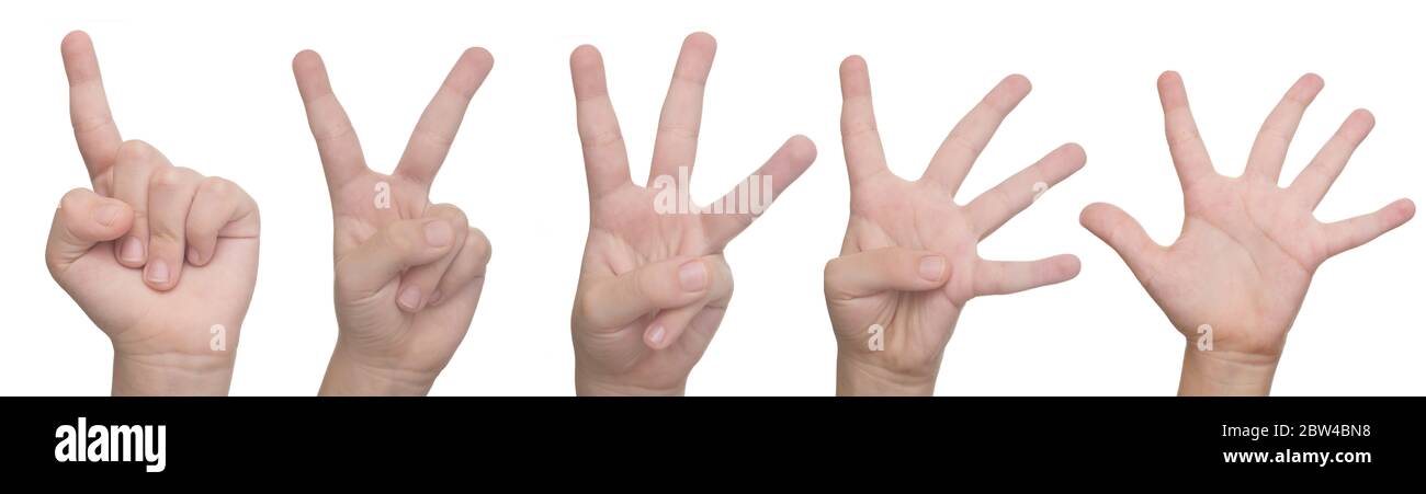 Baby hand showing one to five fingers count Isolated on white ...