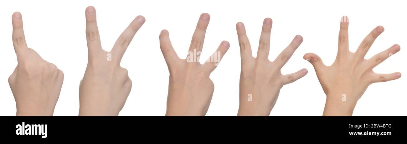 Baby hand showing one to five fingers count Isolated on white ...