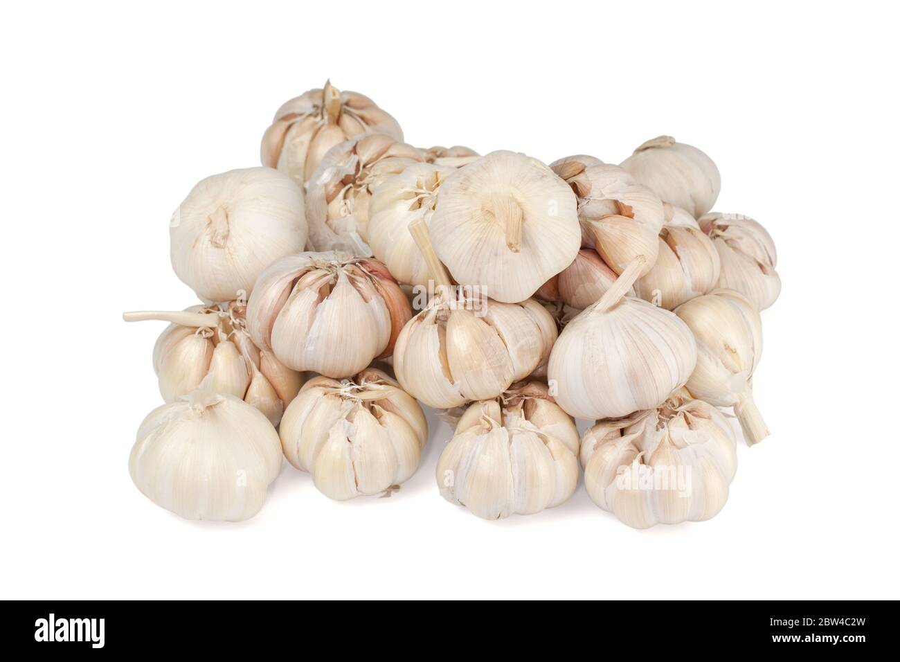 Garlic head and cloves on white background with clipping path and soft ...