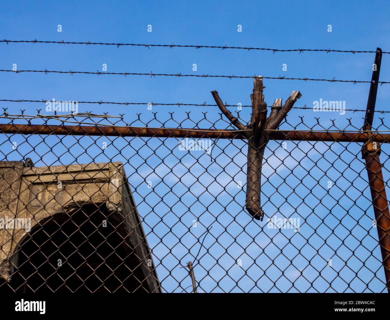 God Dammit Barbed Wire