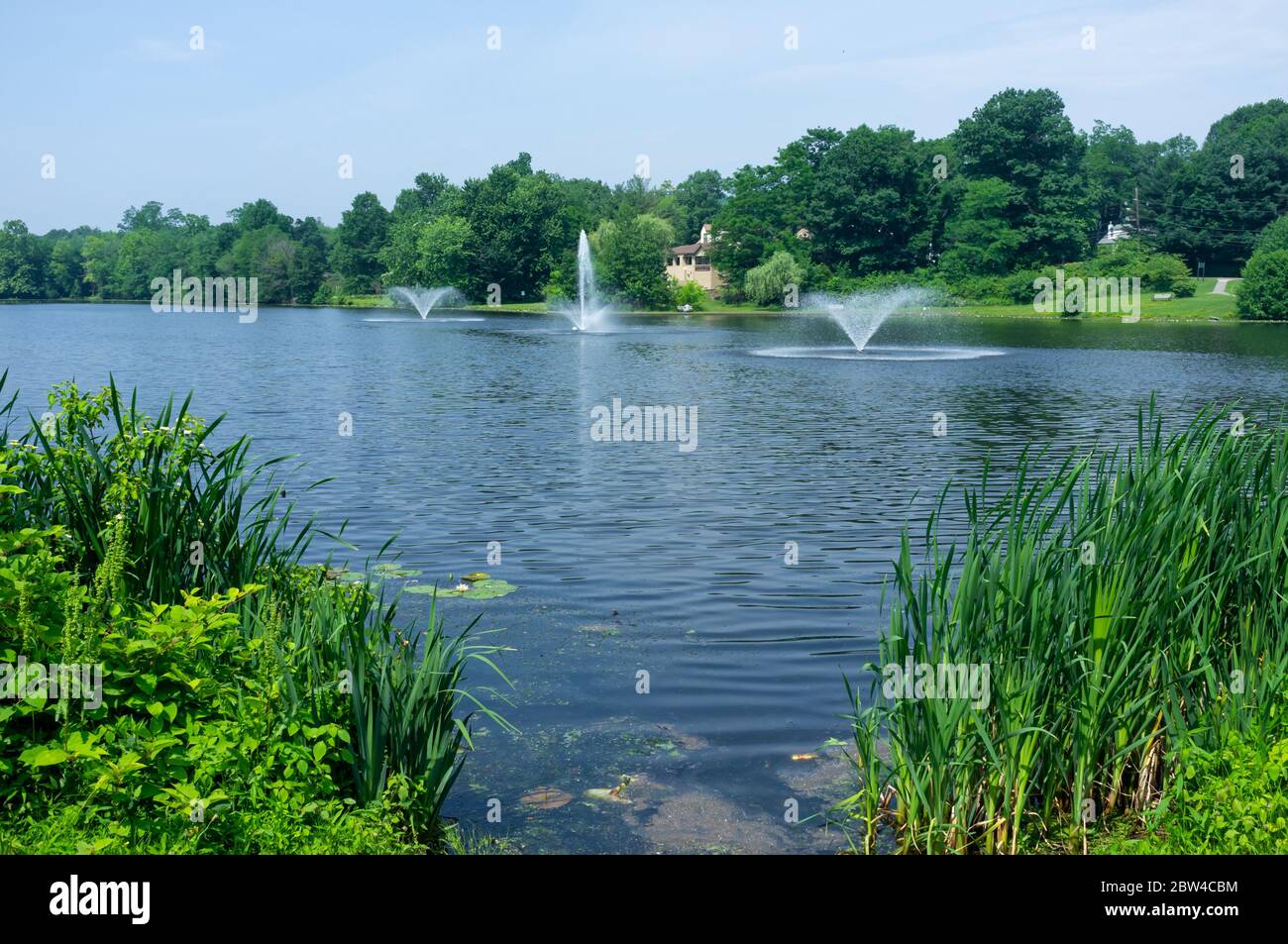 Green water in fountains hi-res stock photography and images - Alamy