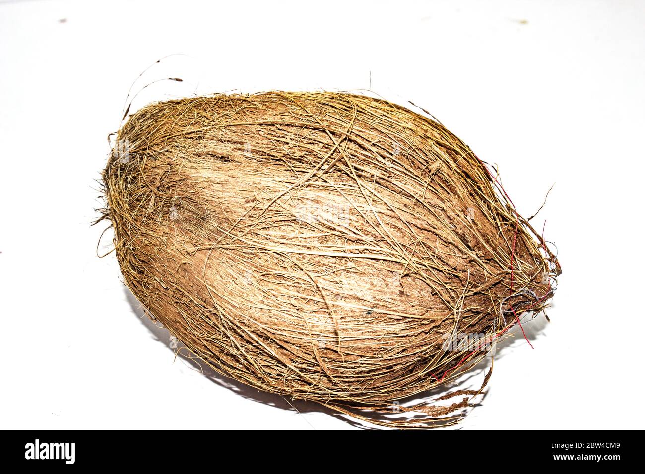 A picture of coconut Stock Photo - Alamy