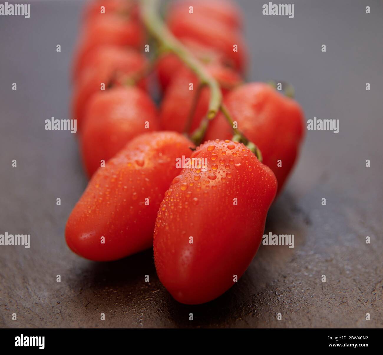 English plumb hi-res stock photography and images - Alamy