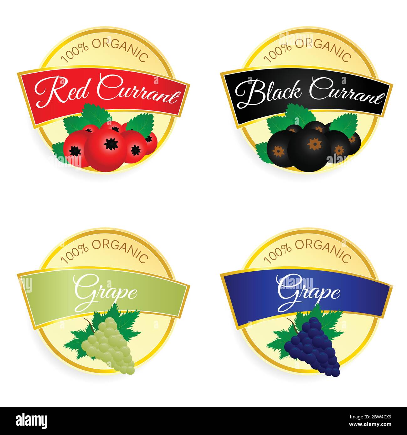 Currant juice fruit Stock Vector Images - Alamy