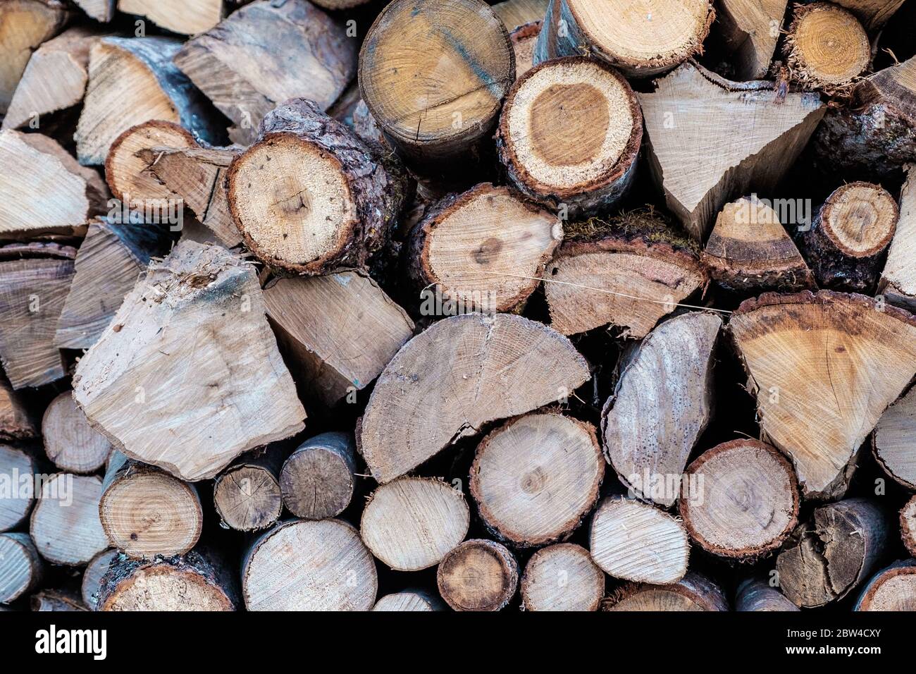 Lots of fire wood for the winter hi-res stock photography and images ...