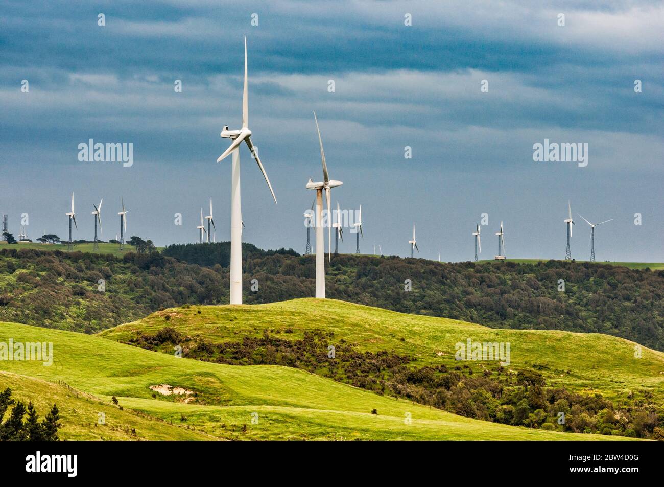 Saddle the wind hi-res stock photography and images - Alamy