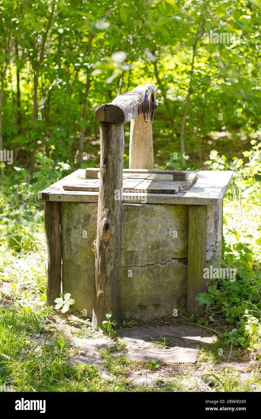 old well in the forest with very healing water Stock Photo - Alamy