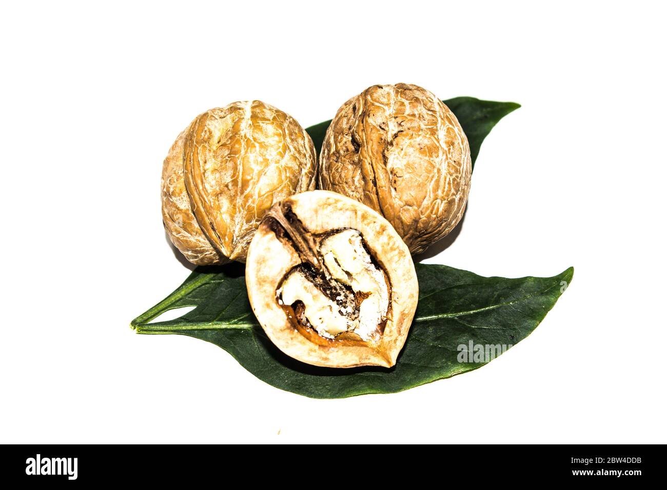 A picture of dry walnuts Stock Photo - Alamy