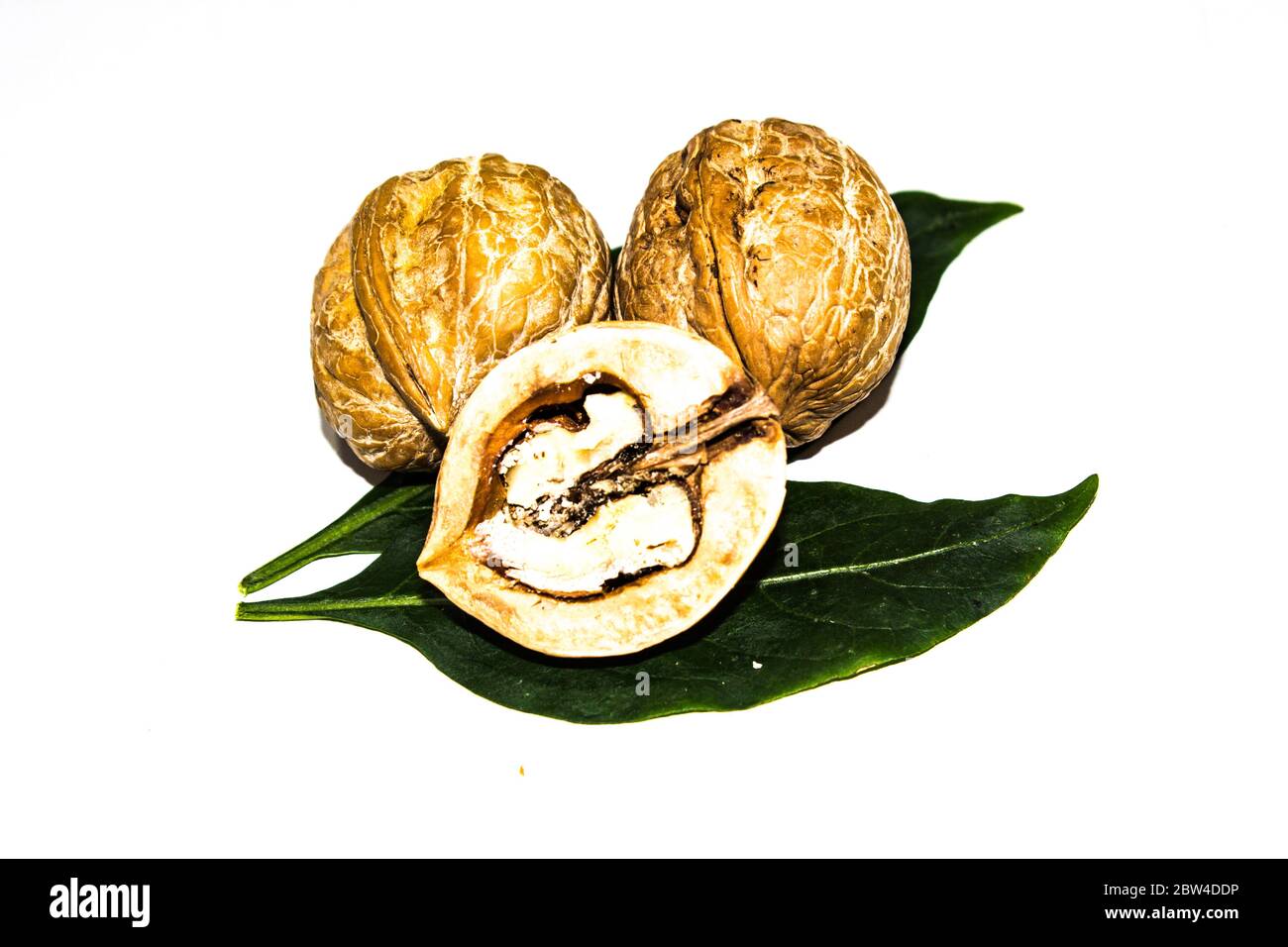 A picture of dry walnuts Stock Photo - Alamy