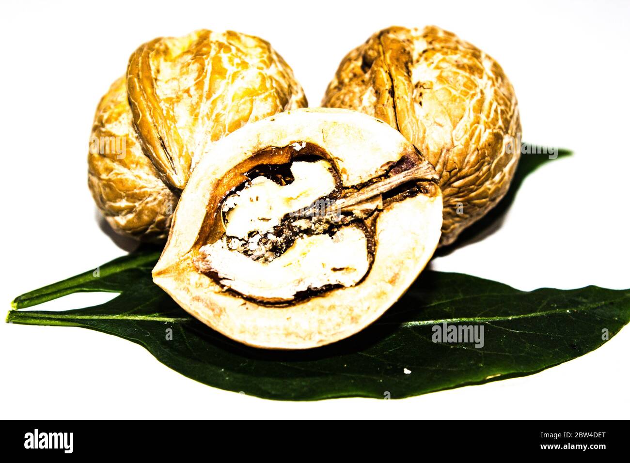 A picture of dry walnuts Stock Photo - Alamy