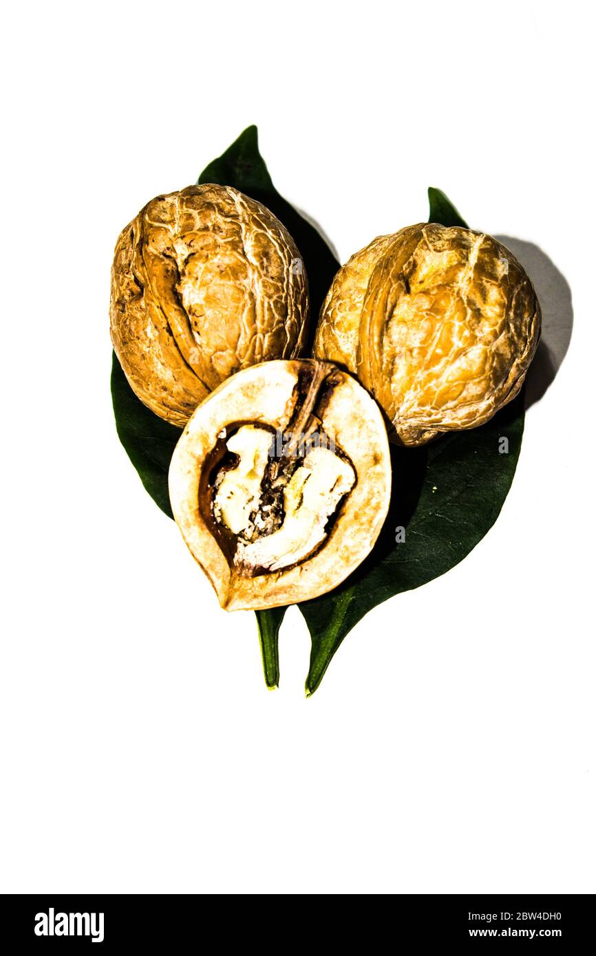 A picture of dry walnuts Stock Photo - Alamy