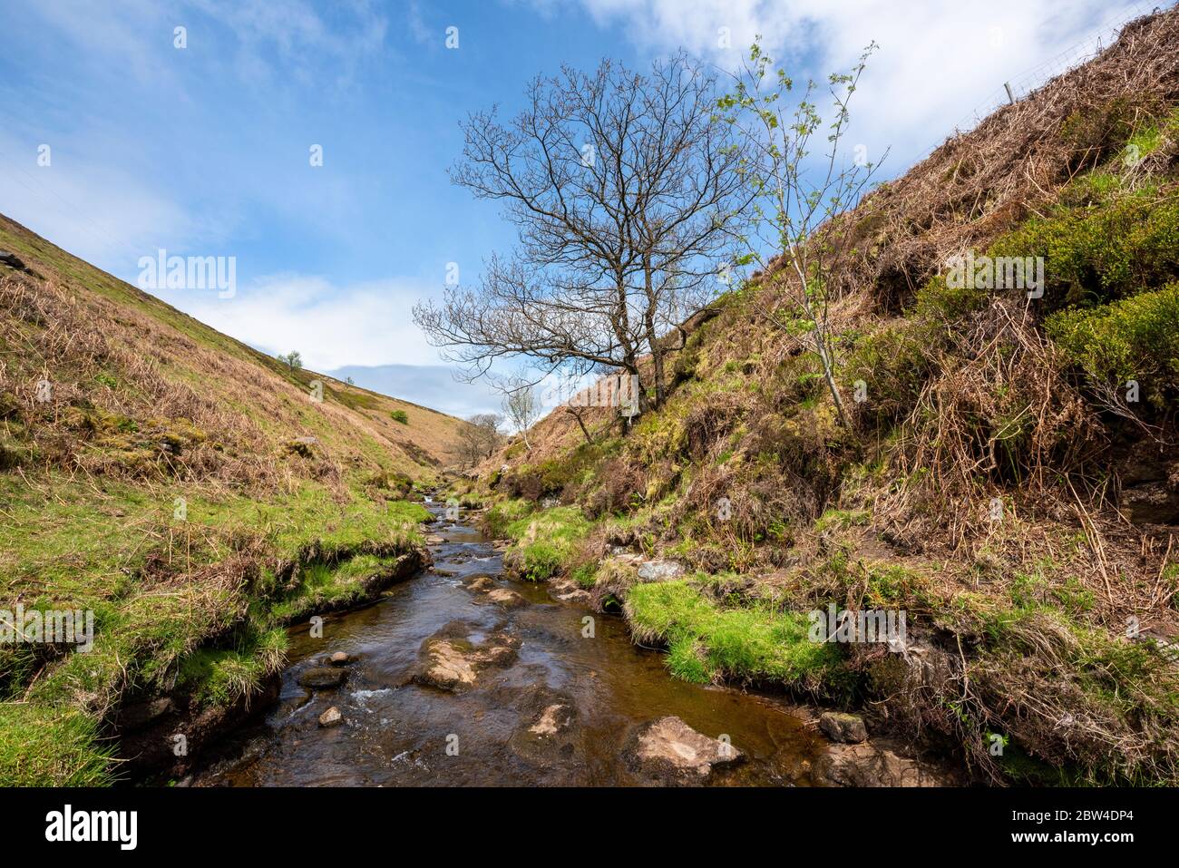 River dane,Axe edge moor,Peak District National Park,England,UK Stock ...