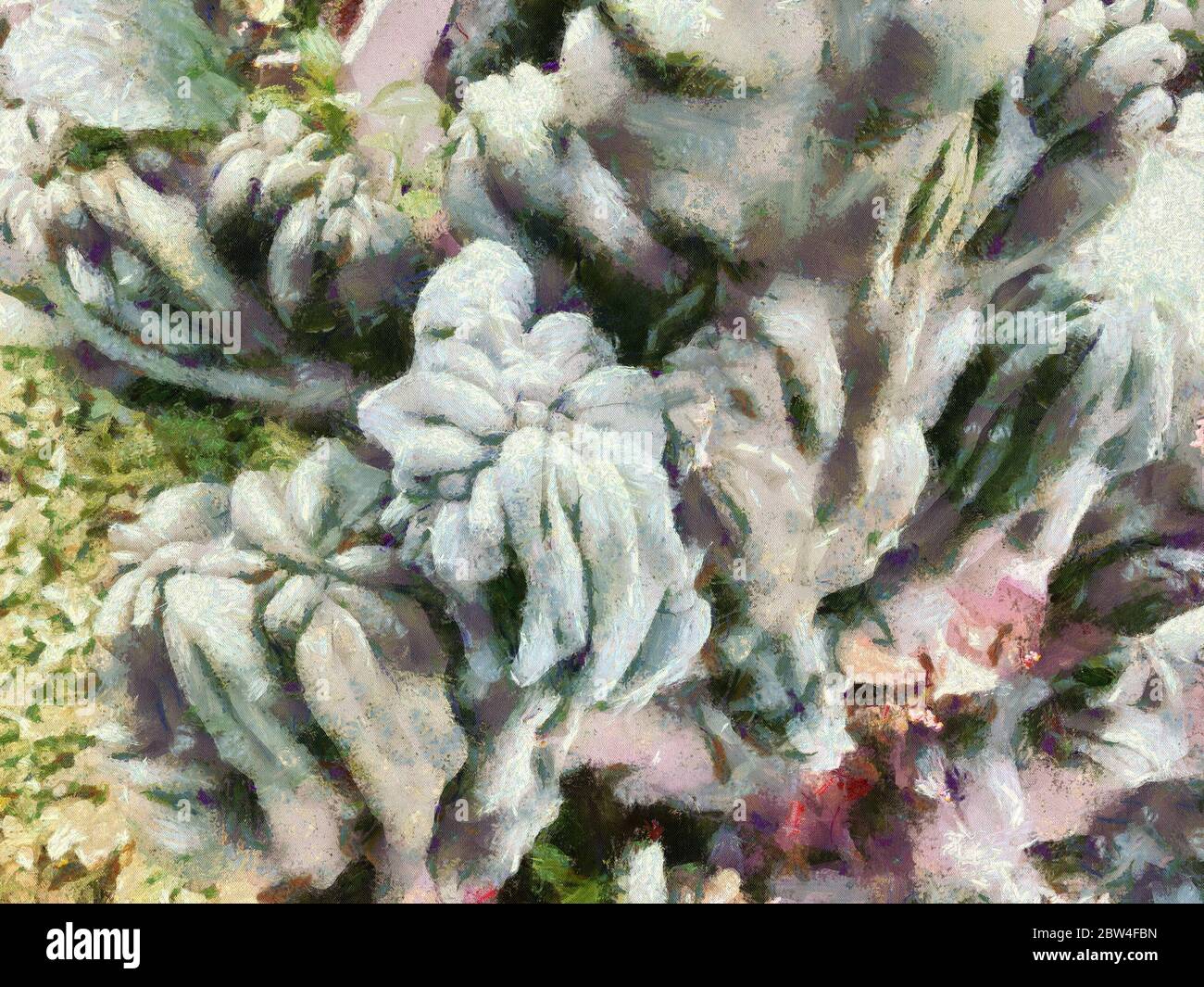 Strange shaped cactus Illustrations creates an impressionist style of ...