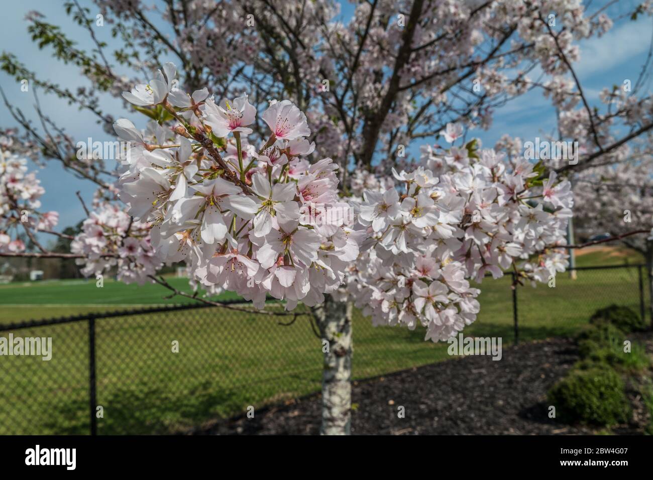 Sunny tint hi-res stock photography and images - Alamy