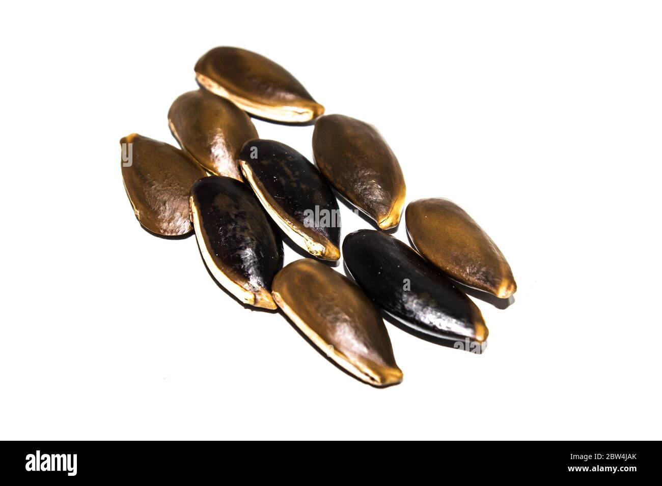 A picture of chikoo seeds Stock Photo - Alamy