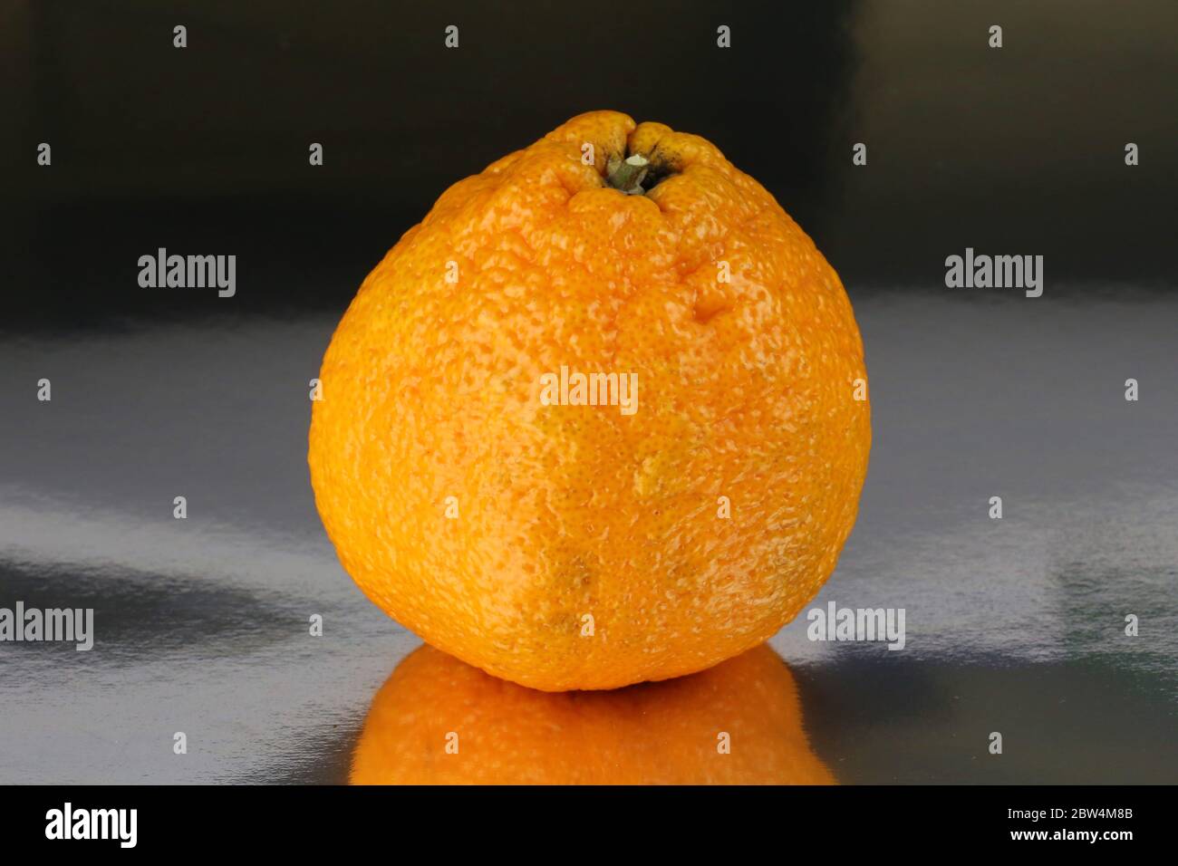Sumo orange citrus fruit Stock Photo - Alamy
