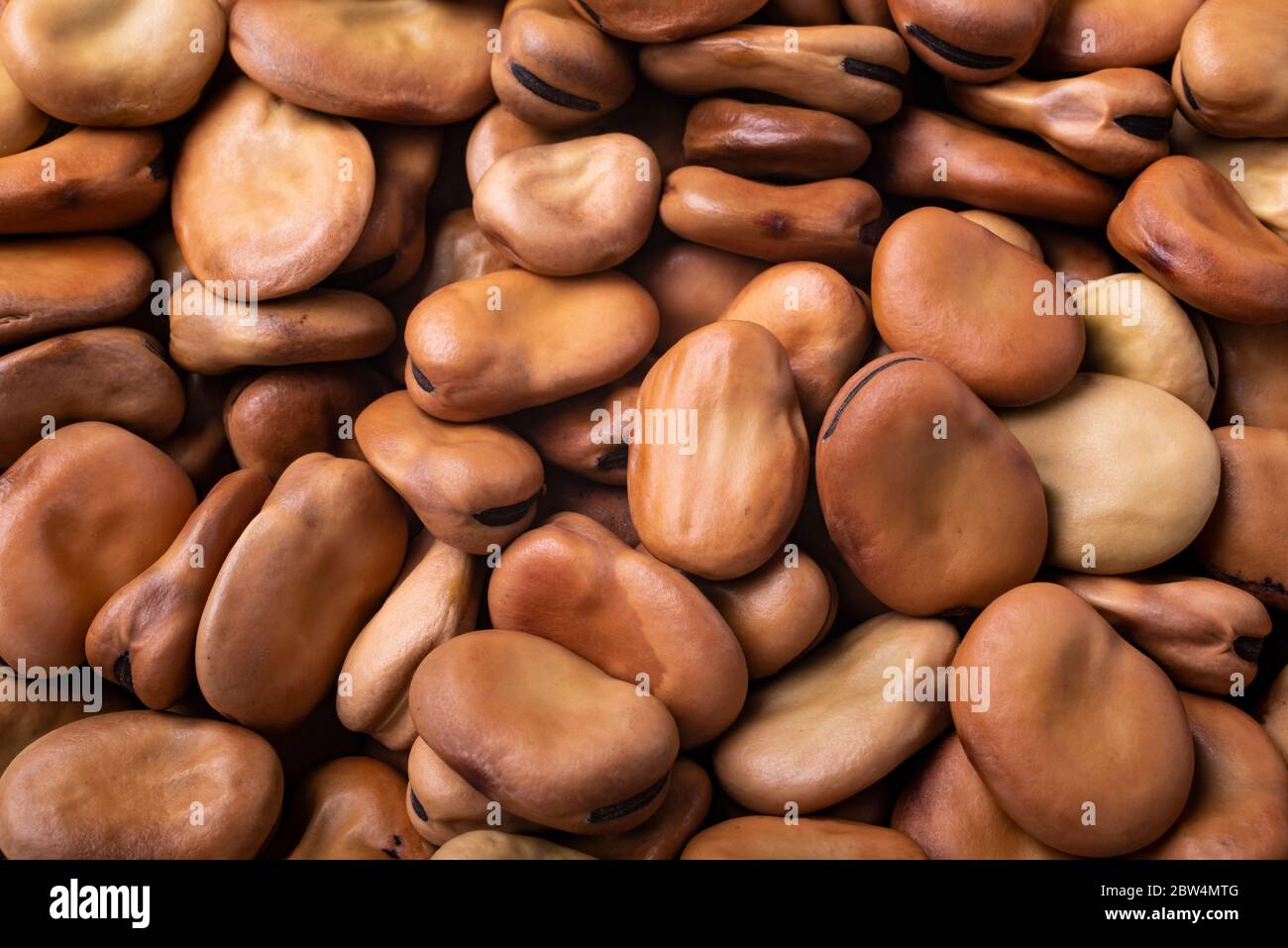 fava beans, close up, organic, heap, texture, background, legume, diet ...