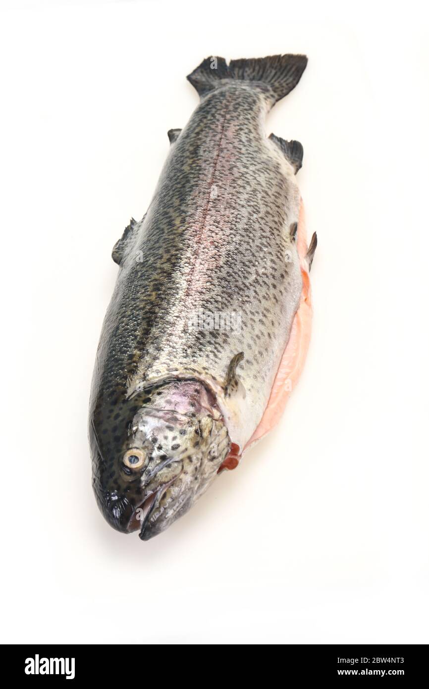 Raw trout fish isolated on white background Stock Photo - Alamy