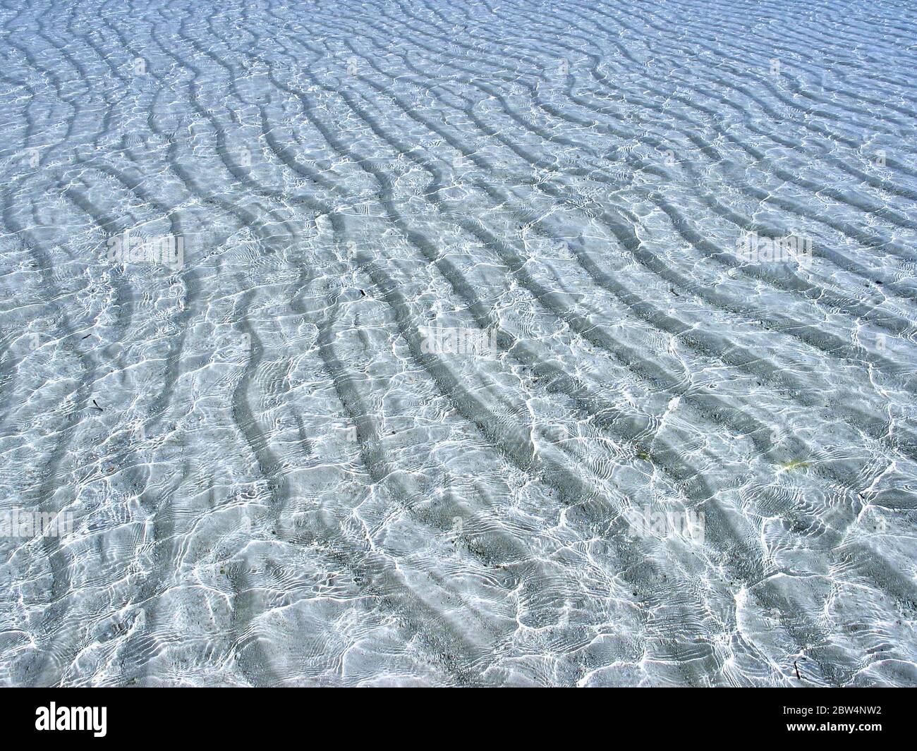 Coral Sandy High Resolution Stock Photography and Images - Alamy