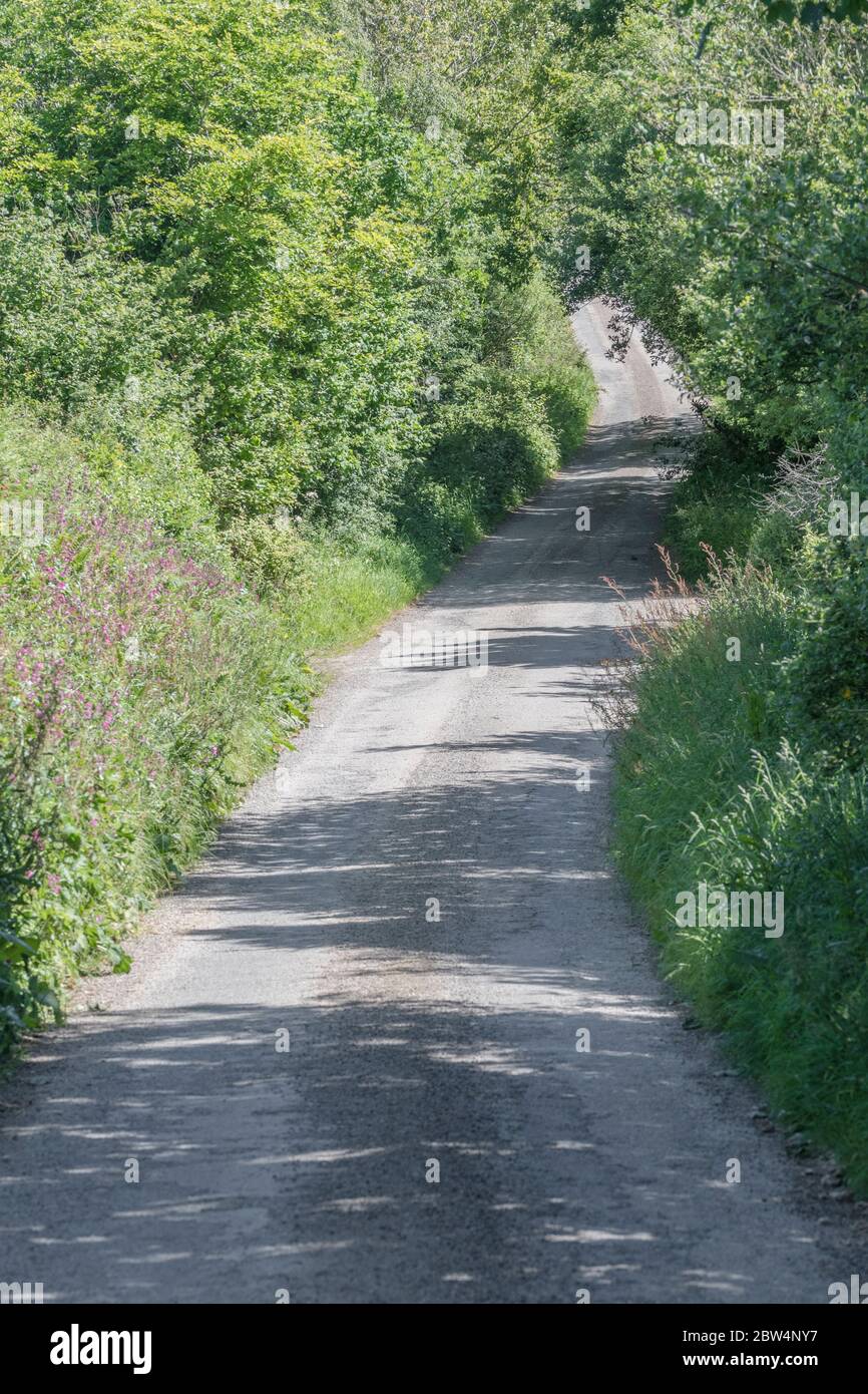 Road going noplace hi-res stock photography and images - Alamy