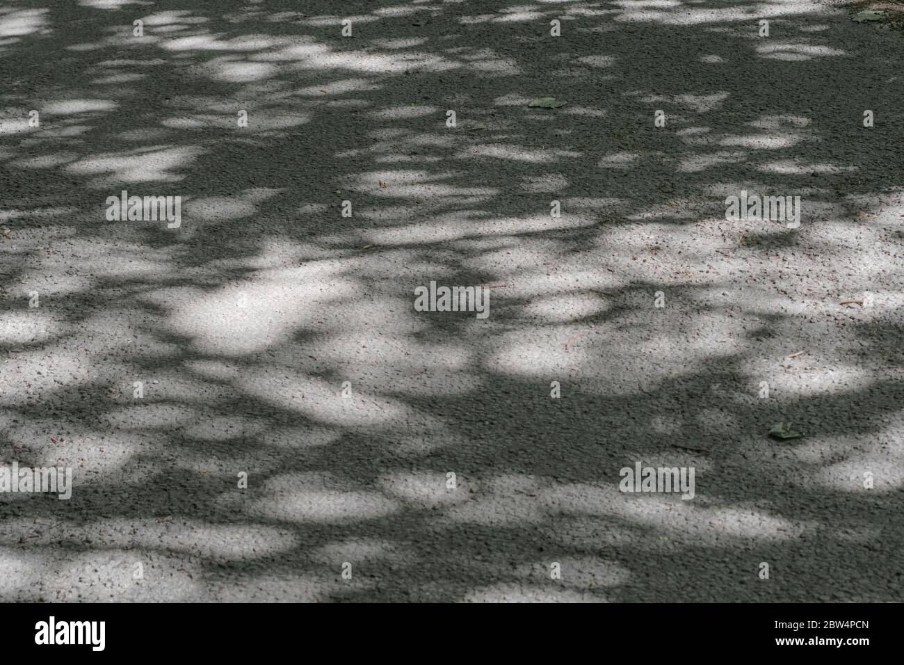Sunlight dappled hi-res stock photography and images - Alamy