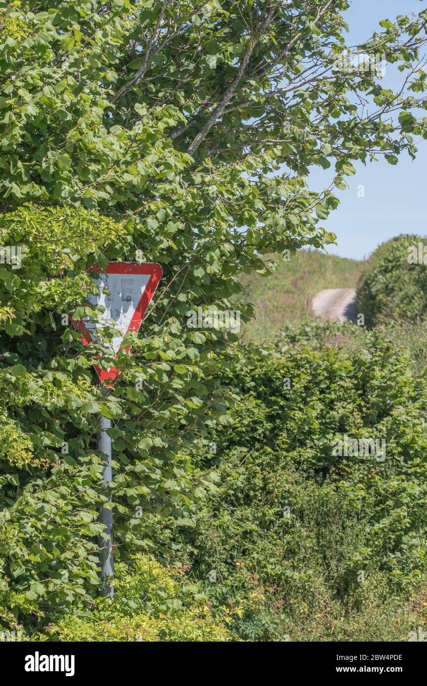 Uk road sign junction bend hi-res stock photography and images - Alamy