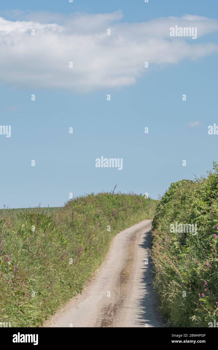 Road going noplace hi-res stock photography and images - Alamy
