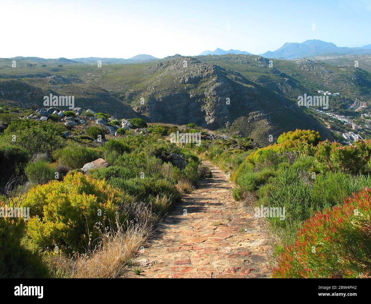 A mountain path in South Africa, Cape Town, South Peninsula Stock Photo ...