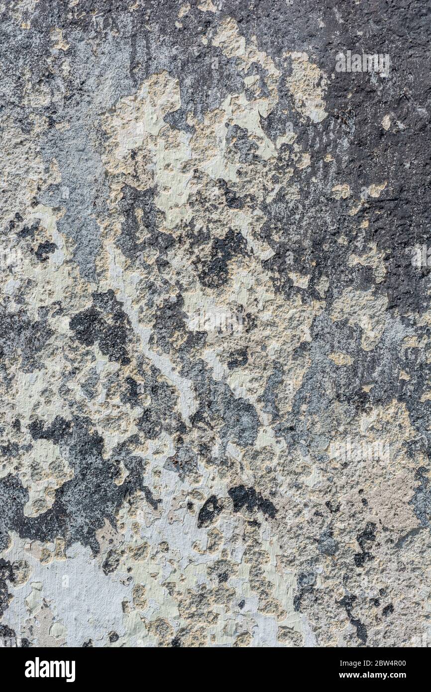 Exterior Texture Paint Designs