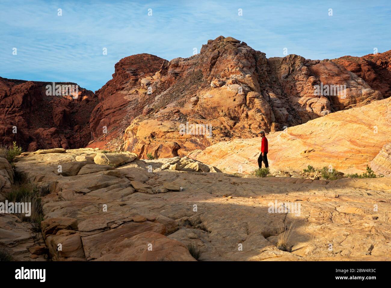 NV00160-00...NEVADA - Hiker crossing open sandstone bedrock with a ...