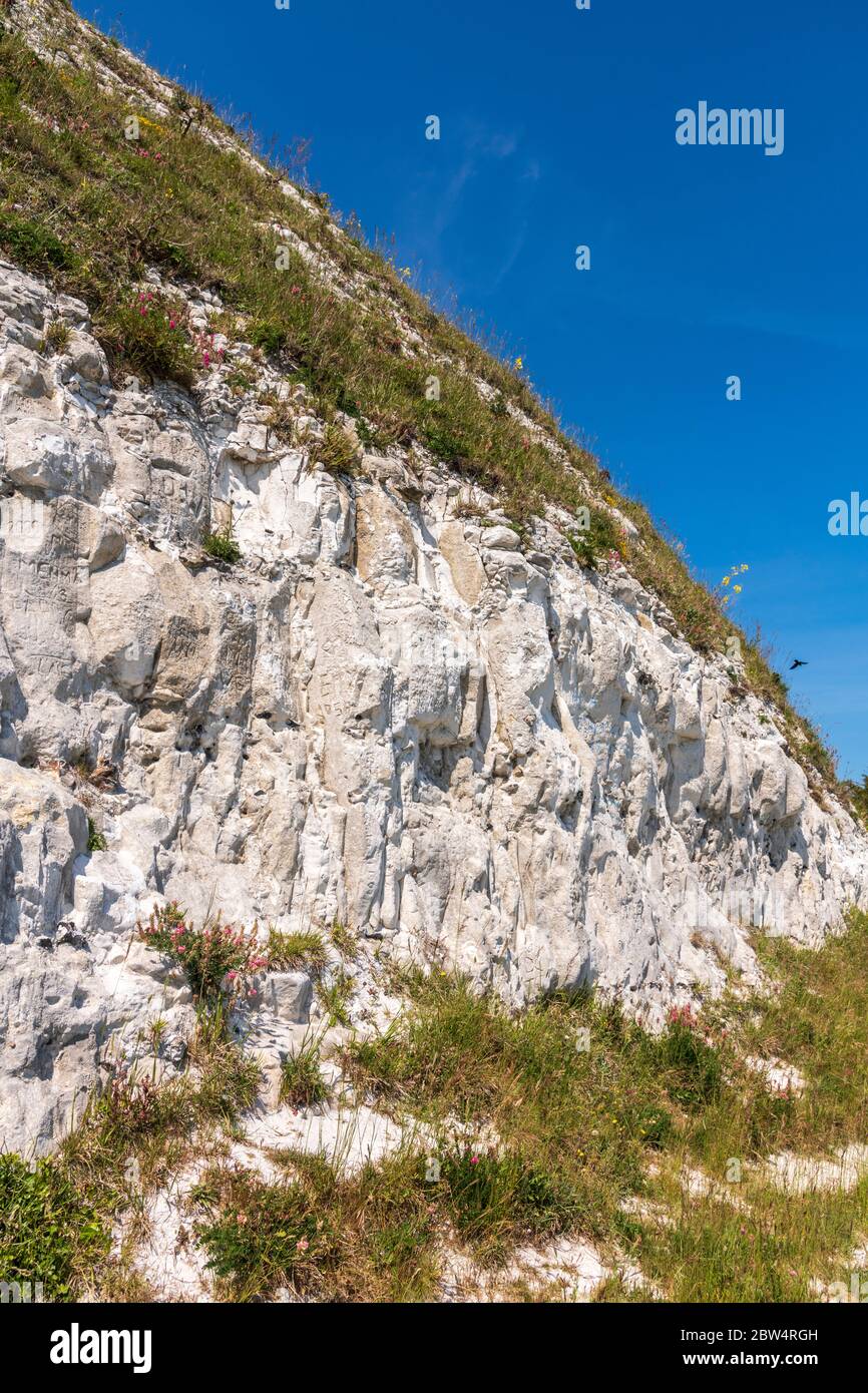 View at white cliffs of Dover, Great Britain Stock Photo - Alamy
