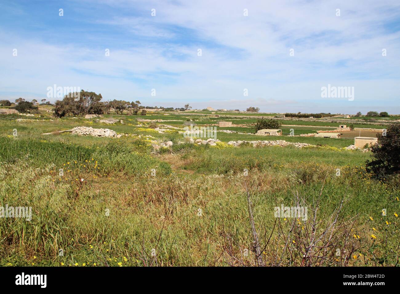 countryside in malta Stock Photo - Alamy