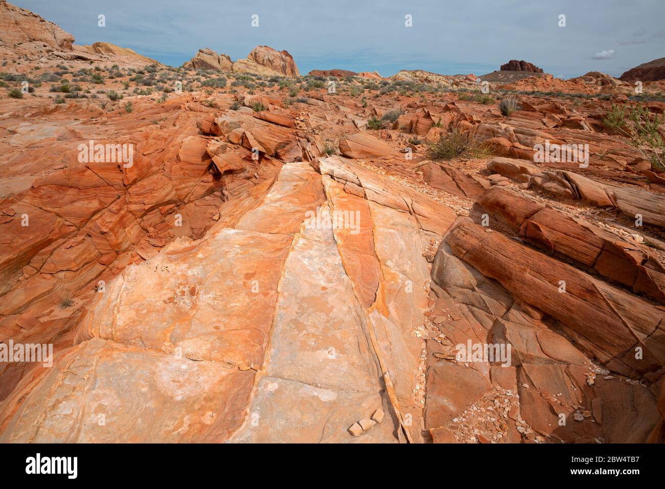 NV00186-00...NEVADA - Colorful layers of sandstone and compaction ...