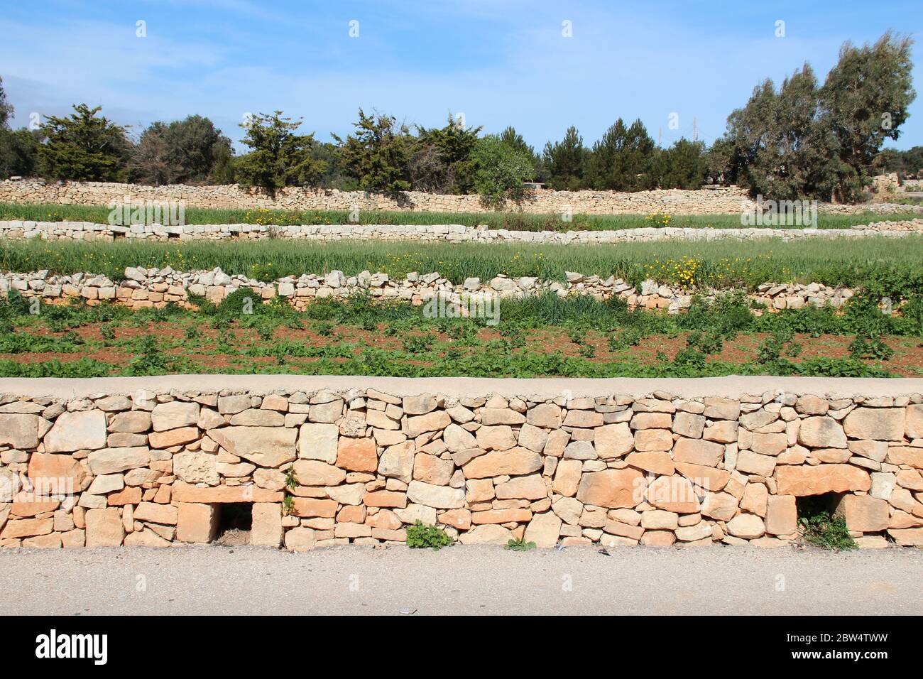 countryside in malta Stock Photo - Alamy